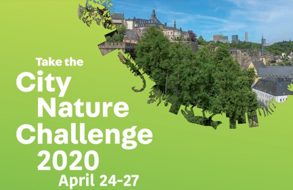 Home Edition of City Nature Challenge Announced