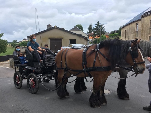 Interview: Renée Lotz Presents Work of Liewenshaff Socio-Educational ...